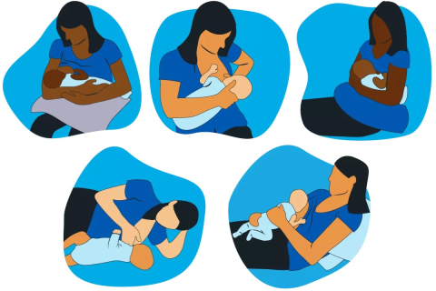 Basics of Positioning and Latch: Breastfeeding Guide